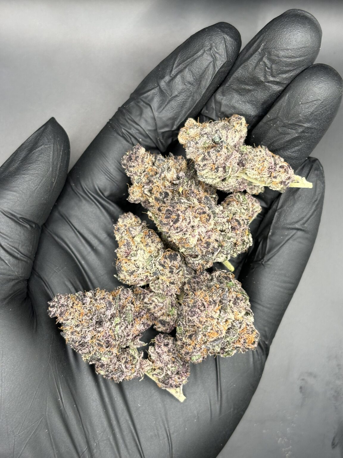Tropicana Cherry | Exotic Cannabis |1Kg| - Buy in Bangkok