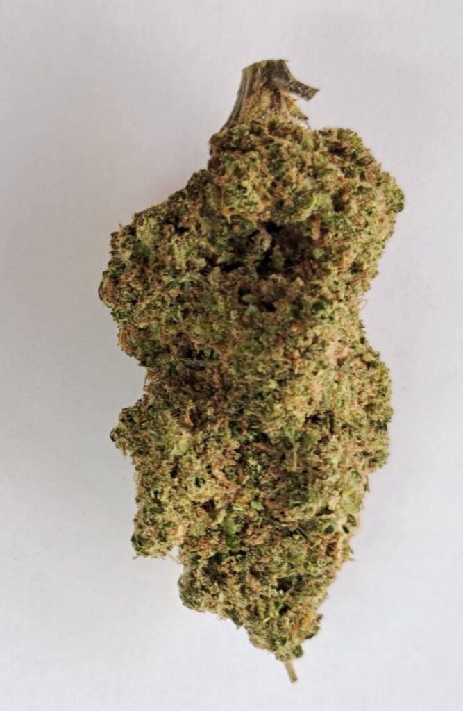 Mango Haze 15 gr Weed Packs - Buy in Pattaya